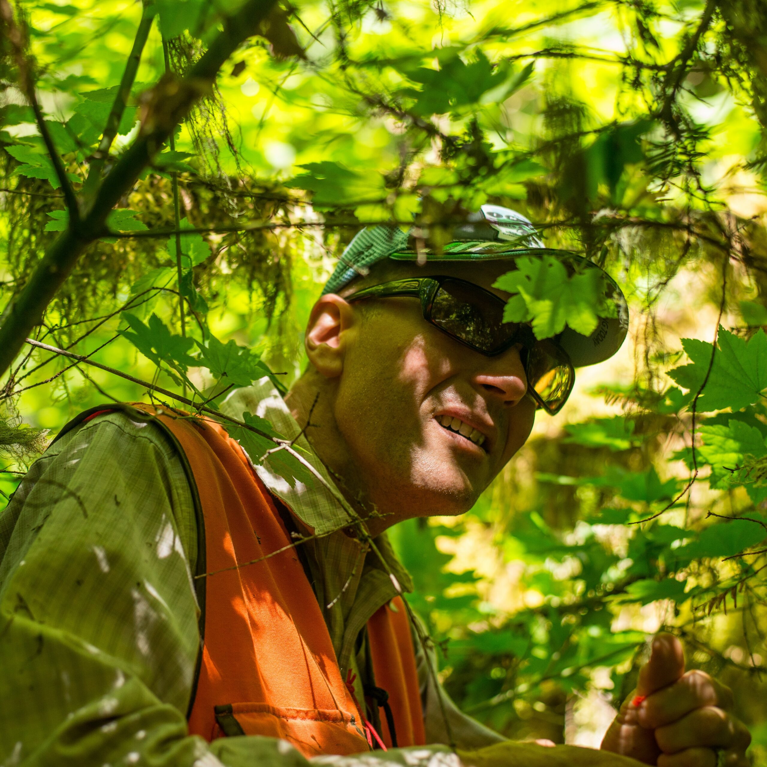 Chris Bernhardt - Hello ALLEGRA